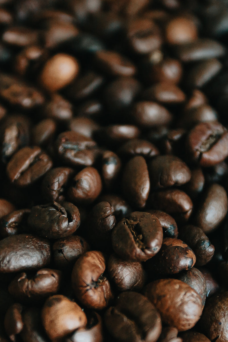 Roasted Coffee – Segovia Coffee Co.