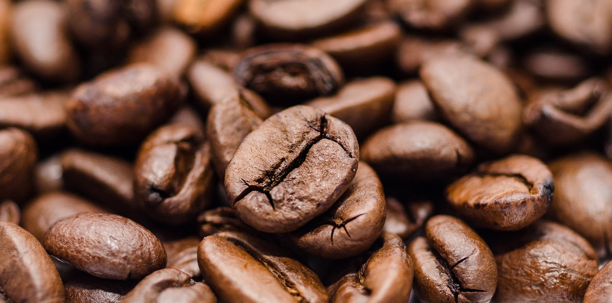 Segovia Coffee - Whole Bean - 12oz Bag – Segovia Coffee Co.